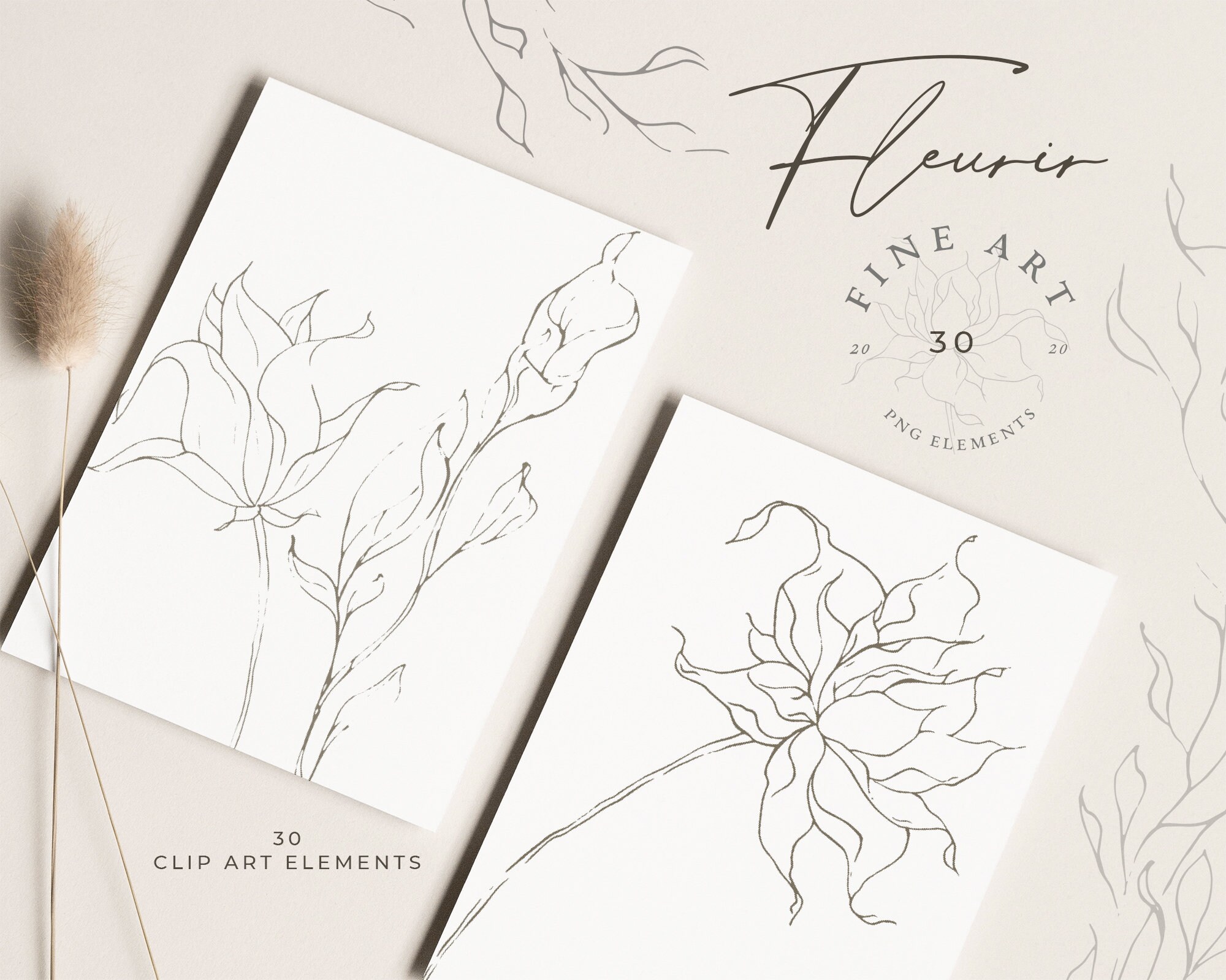 Fine Art Botanical Clip Art Botanical Line Art Fine Art | Etsy