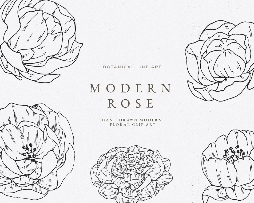 Botanical Line Art - Floral Line Clip Art - Modern Floral Line Art ...