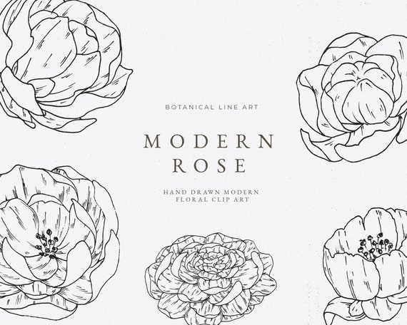 Botanical Line Art Floral Line Clip Art Modern Floral Line - Etsy