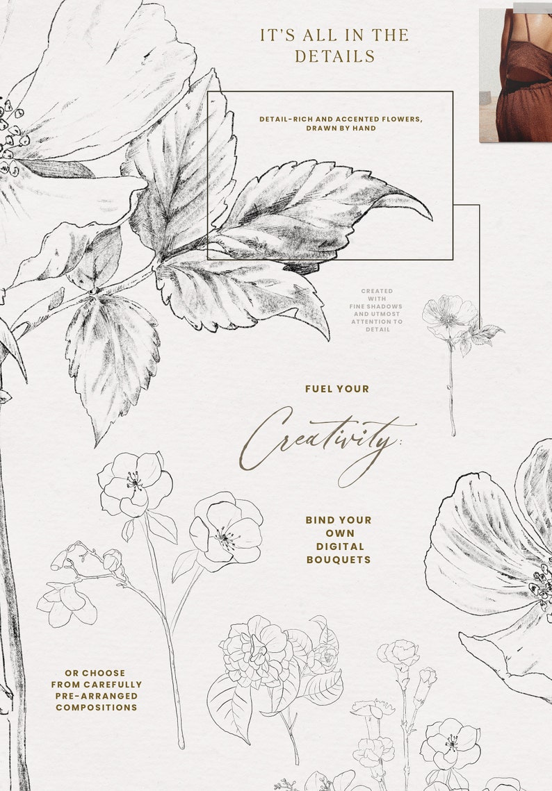 Fine Art Botanical Clip Art Botanical Design Bundle Line - Etsy