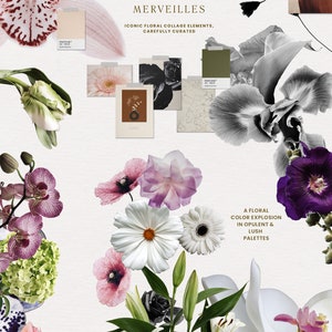 Fine Art Botanical Clip Art Botanical Design Bundle Line Art Flower ...