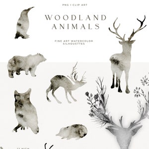 Watercolor Woodland Animal Clip Art - Winter Woodland Clip Art ...