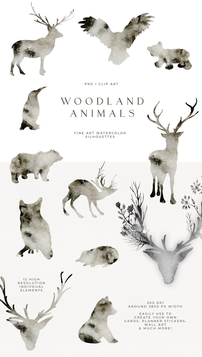 Watercolor Woodland Animal Clip Art Winter Woodland Clip Art | Etsy