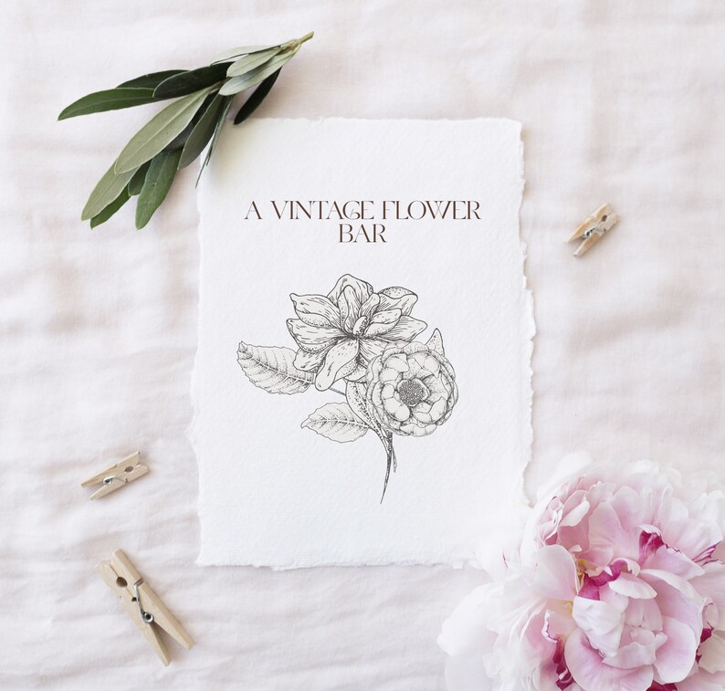 Vintage Botanical Clip Art Botanical Line Art Illustration - Etsy