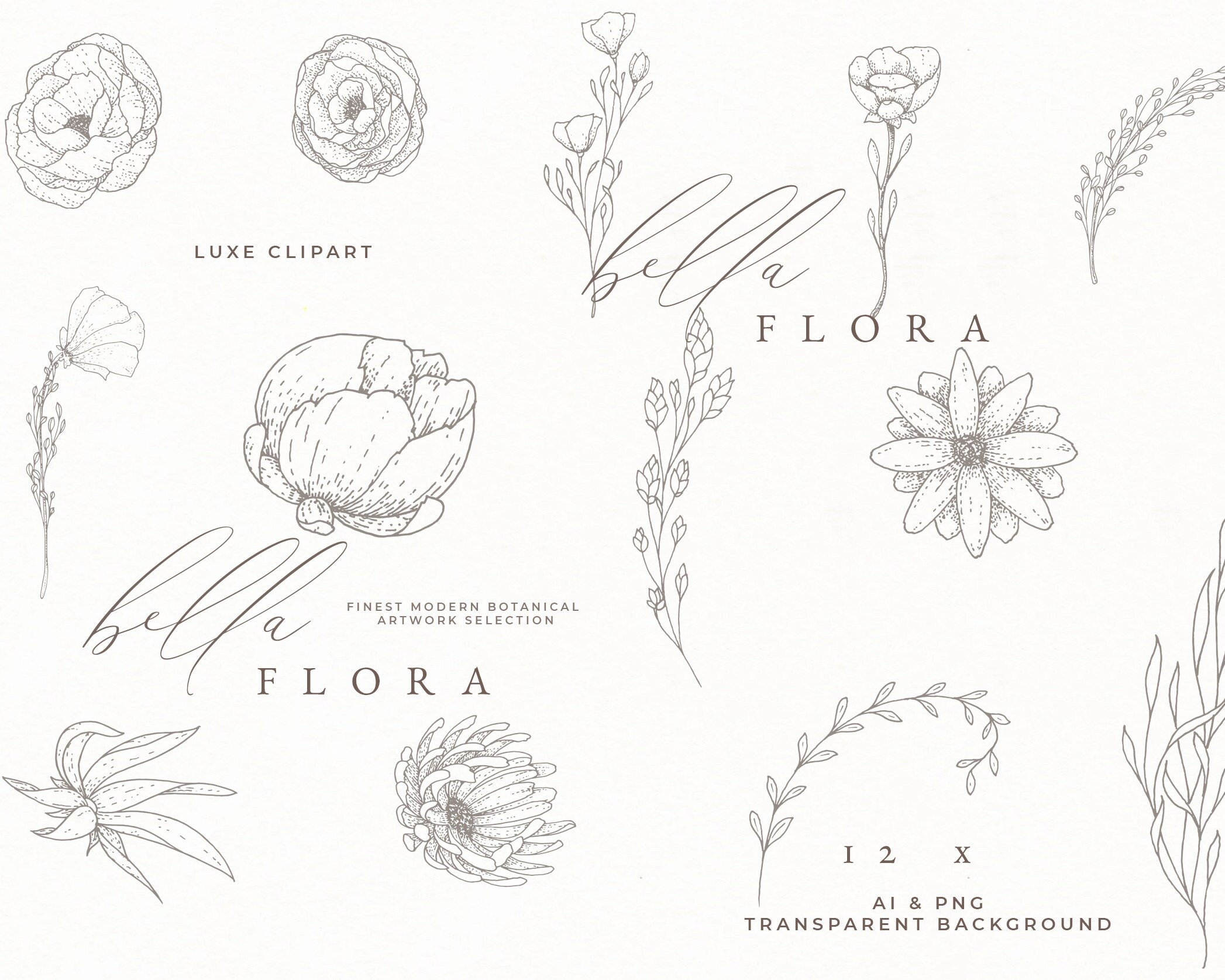 Botanical Line Art Illustration Modern Floral Illustration | Etsy