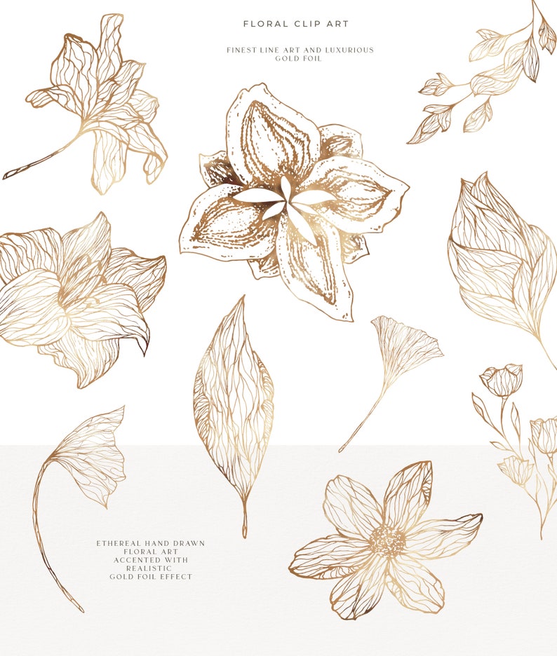 Golden Flowers Clip Art - Gold Foil Line Art - Hand Drawn Flower Line ...