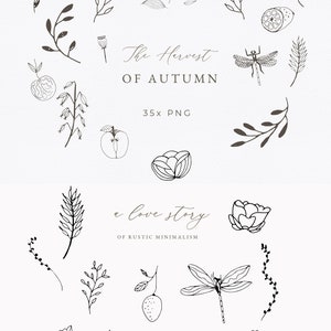 Hand Drawn Floral Line Clip Art, Rustic Botanical Line Art Sketch ...