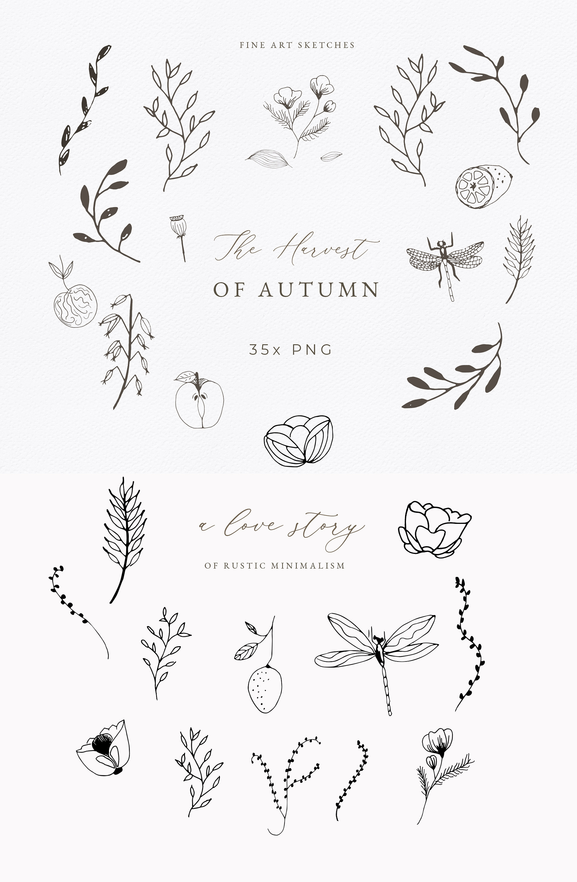 Hand Drawn Floral Line Clip Art Rustic Botanical Line Art - Etsy