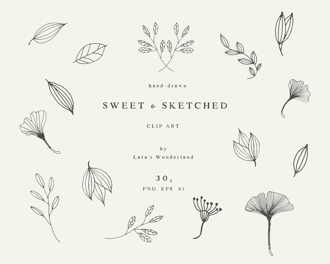 Hand Drawn Rustic Botanical Line Art Sketches, Floral Line Art, Playful ...