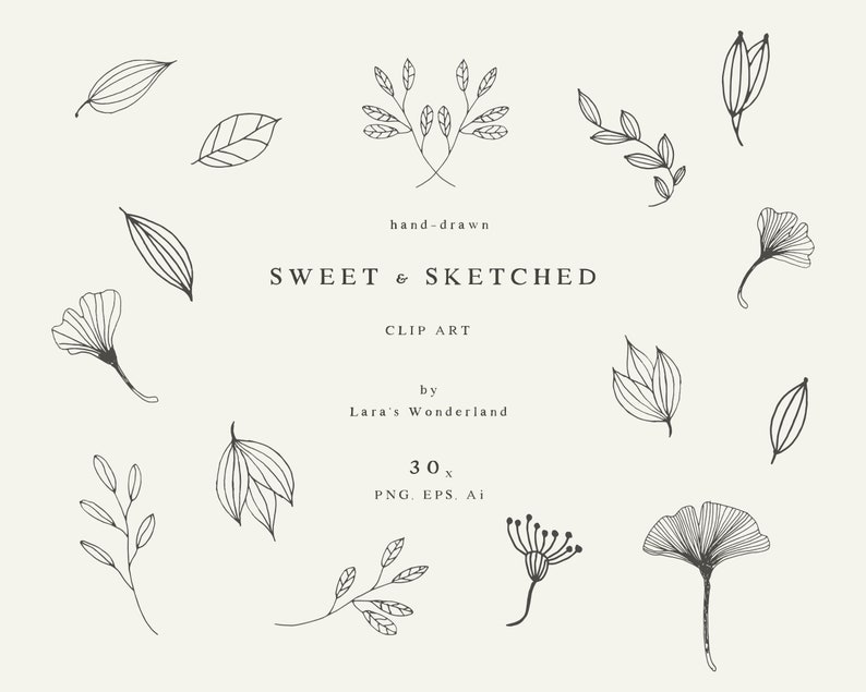 Hand Drawn Rustic Botanical Line Art Sketches Floral Line - Etsy