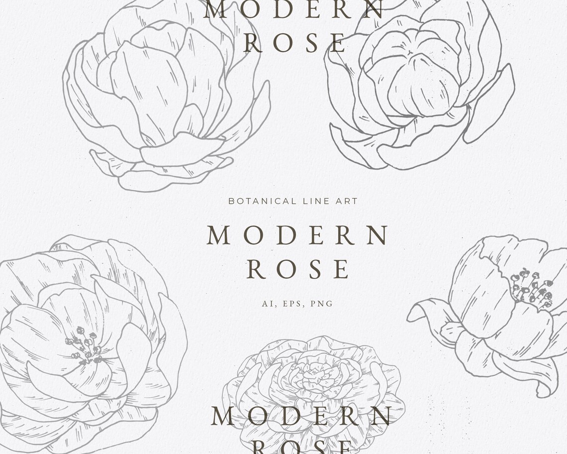 Botanical Line Art Floral Line Clip Art Modern Floral Line - Etsy