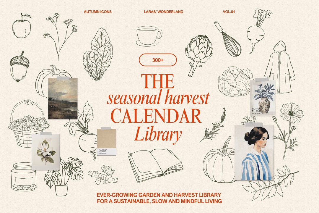 Autumn Line Art Illustration Hand Drawn Fall Clipart Rustic Autumn Clip ...