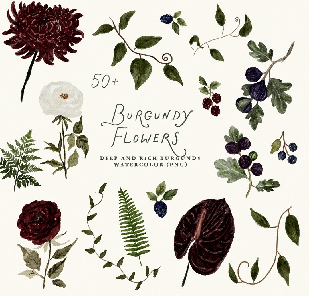 Burgundy Watercolor Flowers - Hand Drawn Watercolor - Whimsical Fall ...