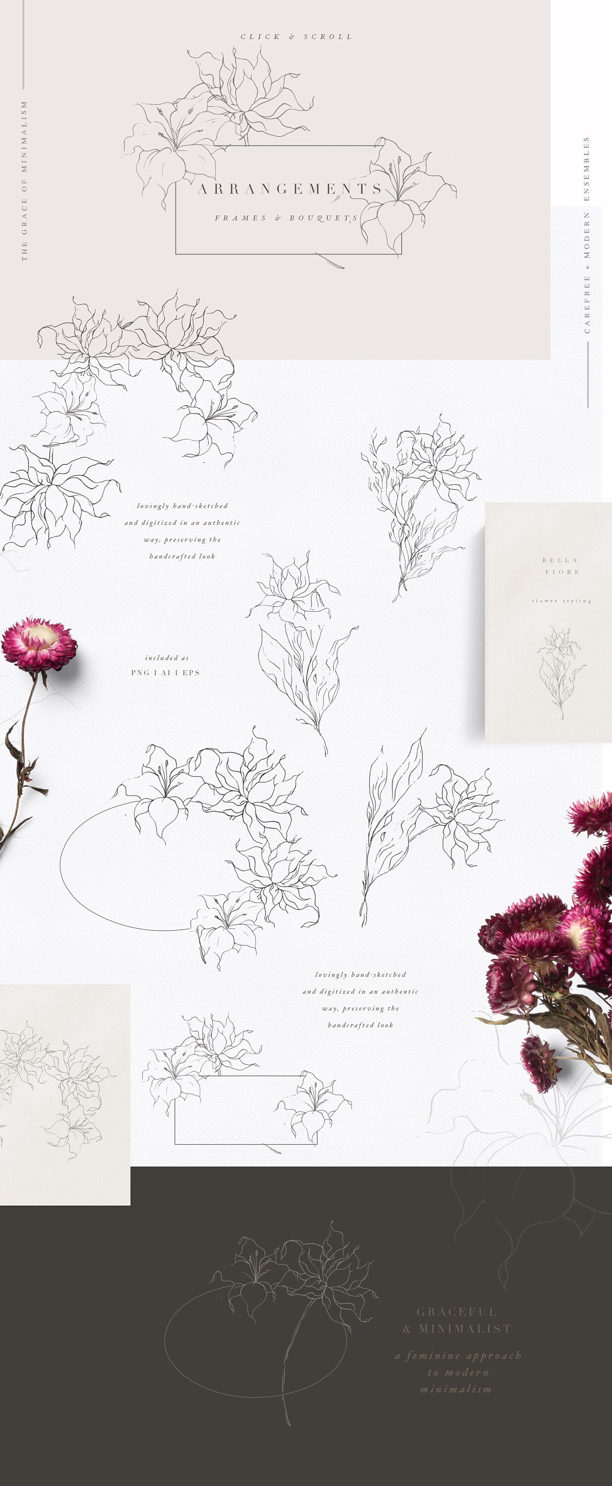 Fine Art Botanical Clip Art Botanical Line Art Fine Art | Etsy