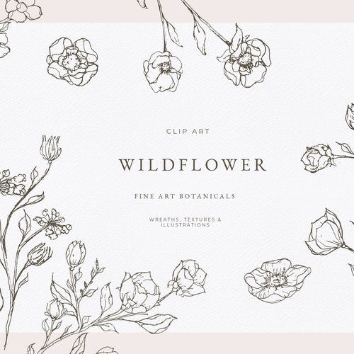 Fine Art Botanical Clip Art Fine Art Wedding Abstract - Etsy