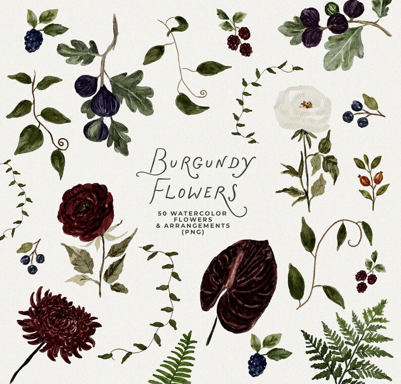 Burgundy Watercolor Flowers - Hand Drawn Watercolor - Whimsical Fall ...