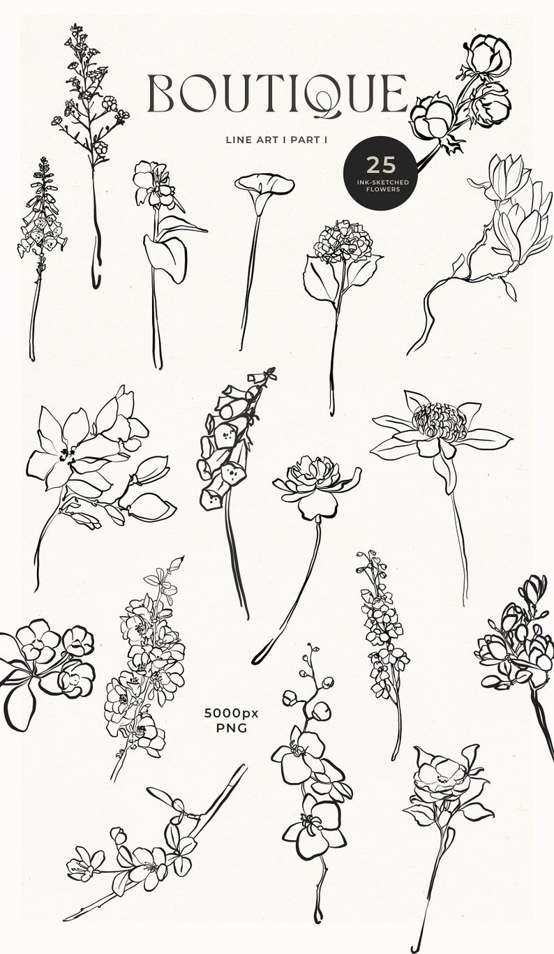 Floral Line Art Fine Art Flower Illustration Floral Line - Etsy