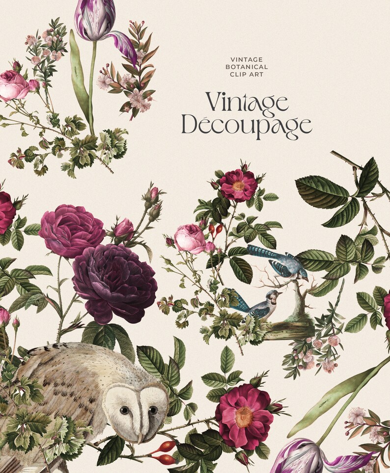 Vintage Collage Art Floral Collage Clip Art Original - Etsy