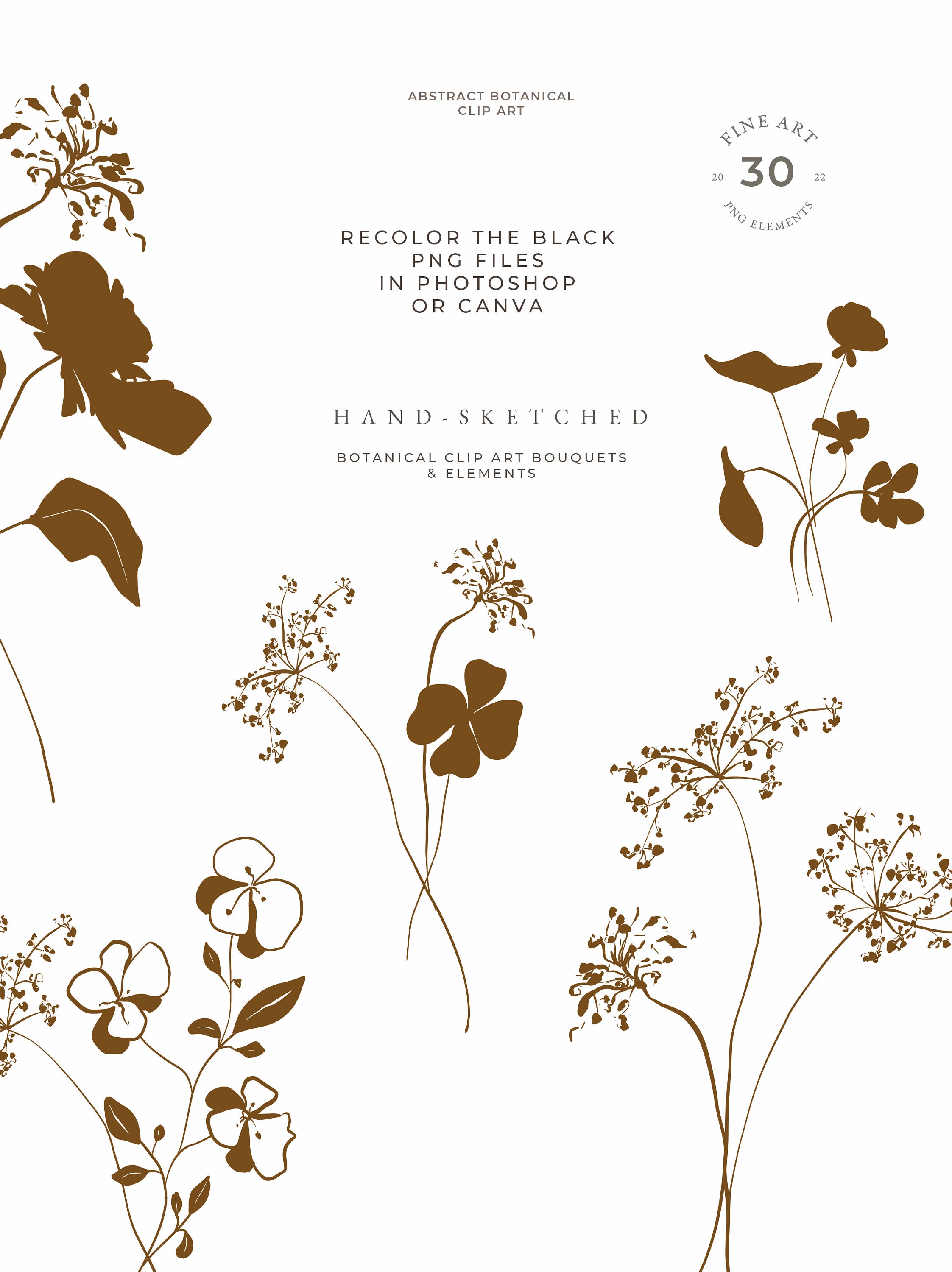 Dried Flower Clip Art Fine Line Flower Drawing Minimal - Etsy Australia