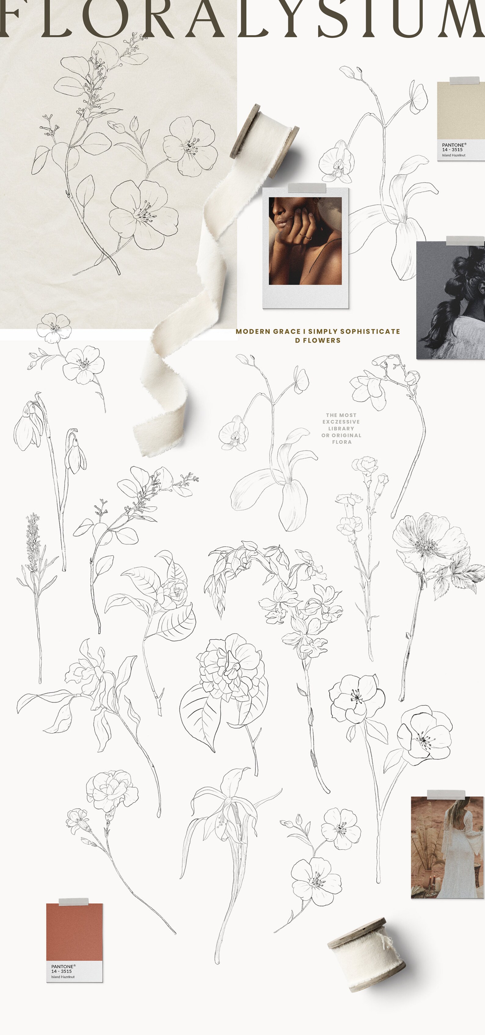 Fine Art Botanical Clip Art Botanical Design Bundle Line - Etsy