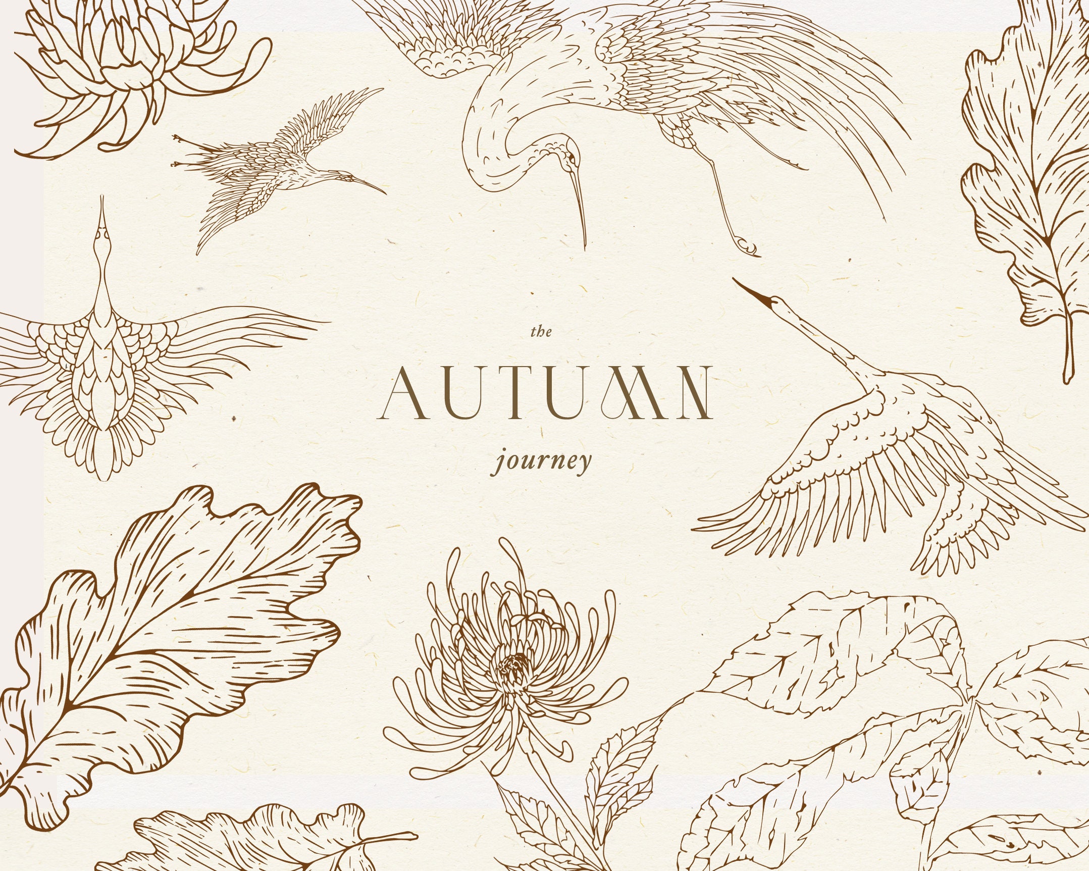 Autumn Botanical Line Art Illustration Autumn Clip Art Hand - Etsy