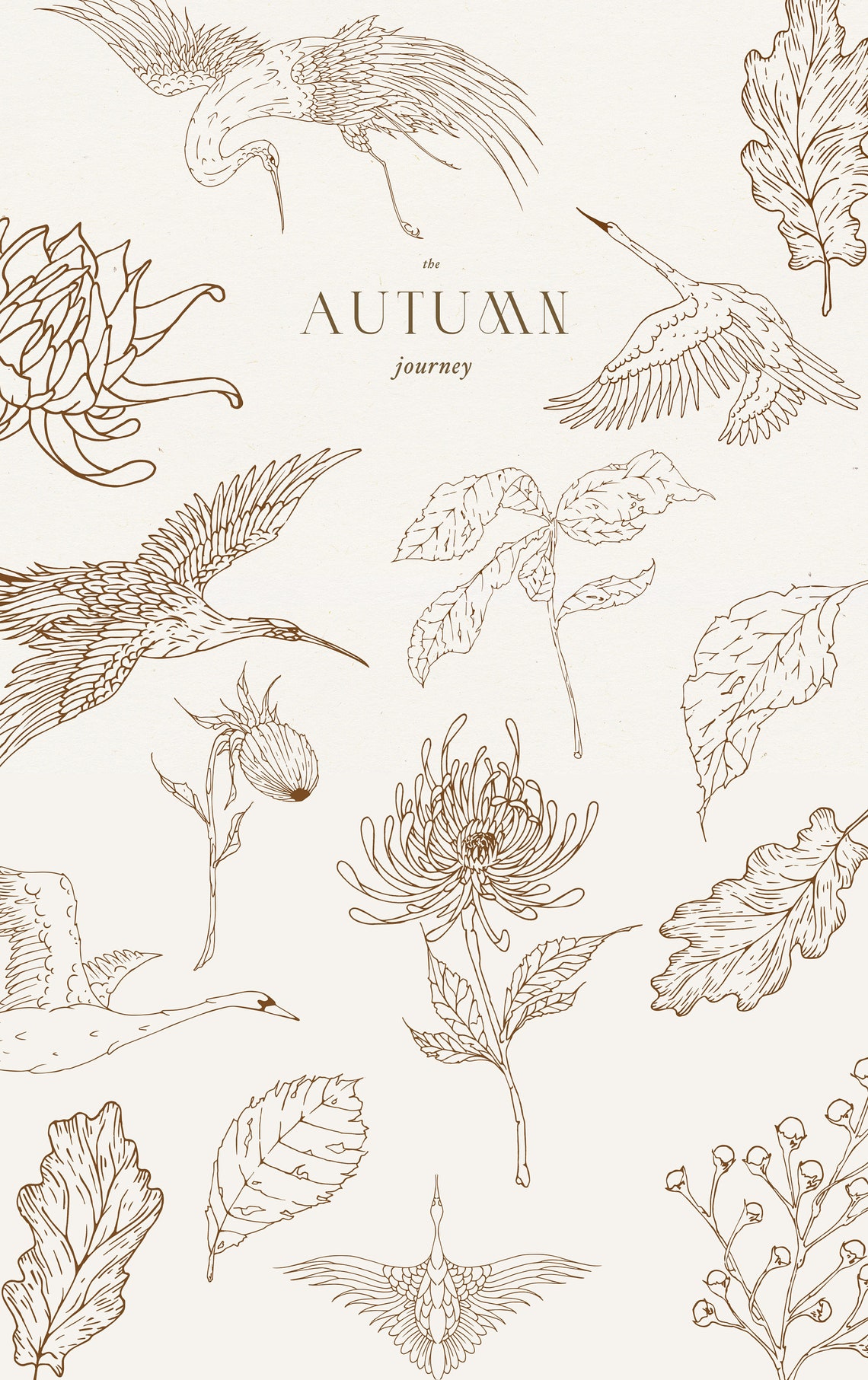 Autumn Botanical Line Art Illustration Autumn Clip Art Hand | Etsy