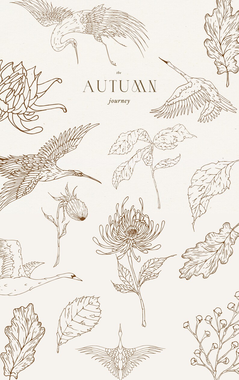 Autumn Botanical Line Art Illustration Autumn Clip Art Hand - Etsy