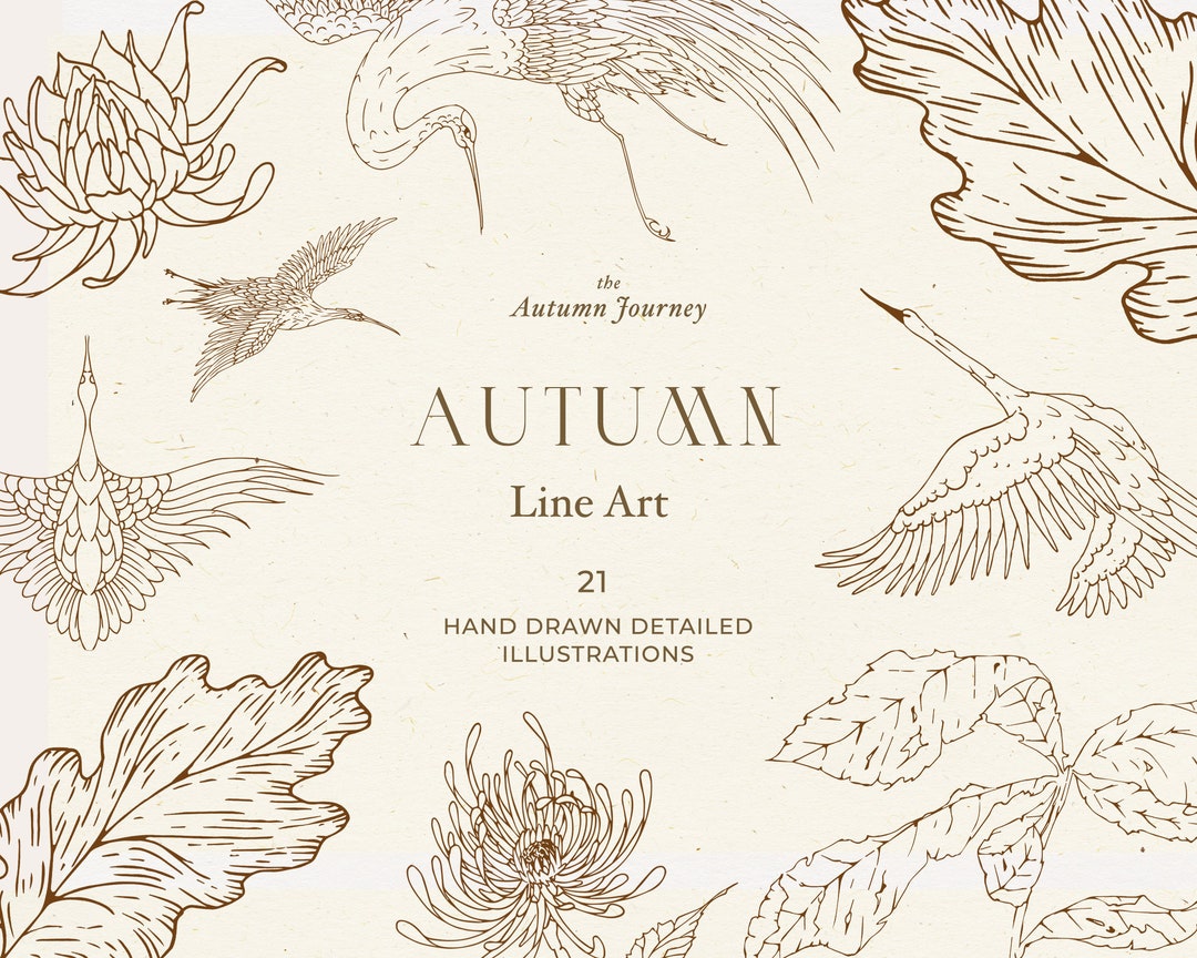 Autumn Botanical Line Art Illustration, Autumn Clip Art, Hand Drawn ...