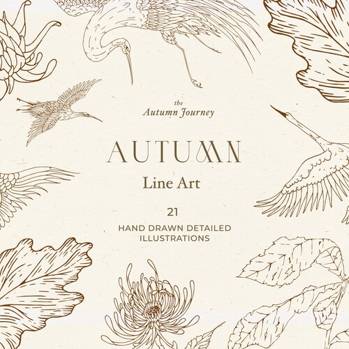 Autumn Botanical Line Art Illustration Autumn Clip Art Hand - Etsy