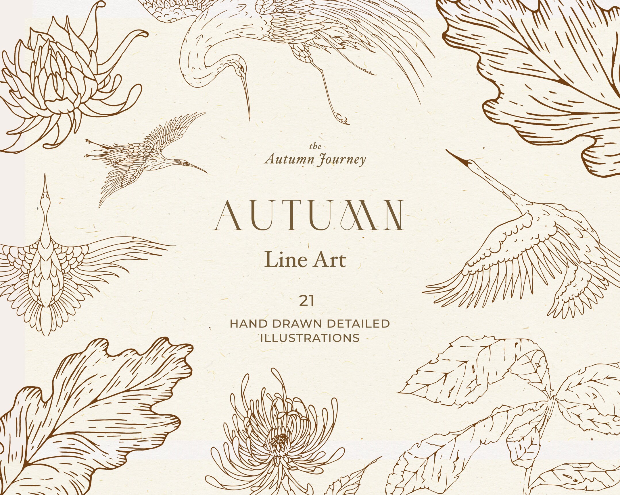 Autumn Botanical Line Art Illustration Autumn Clip Art Hand | Etsy