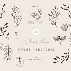 Hand Drawn Floral Line Clip Art, Rustic Botanical Line Art Sketch ...