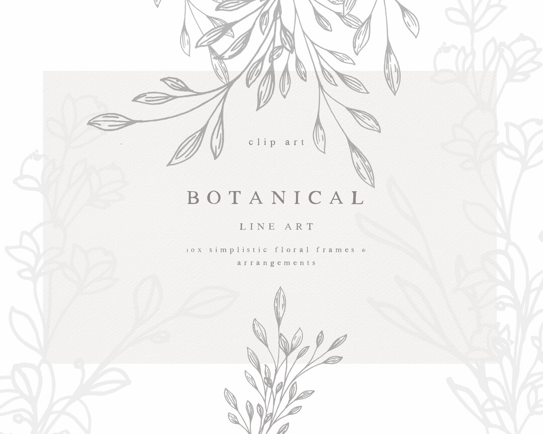 Botanical Line Art, Floral Clip Art, Floral Vector Illustration, Floral ...