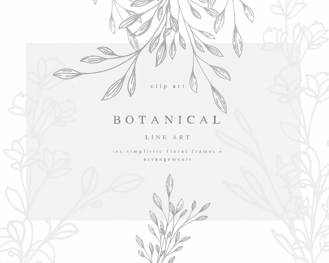 Botanical Line Art Floral Clip Art Floral Vector | Etsy