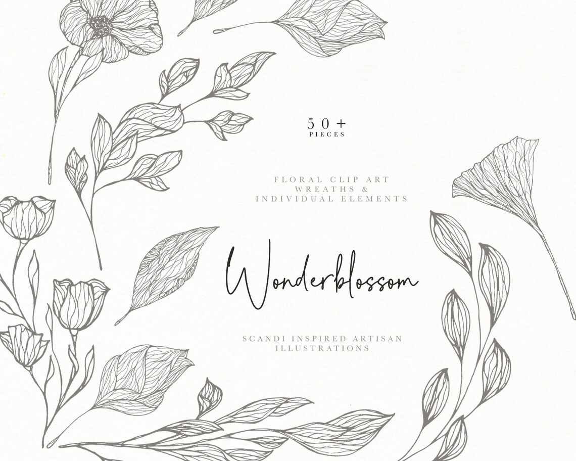 Botanical Line Art Floral Clipart Floral Vector - Etsy