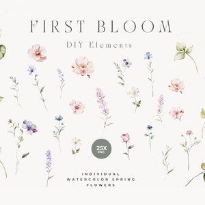 Watercolor Spring Clip Art PNG - Watercolor Spring Wild Flower PNG ...