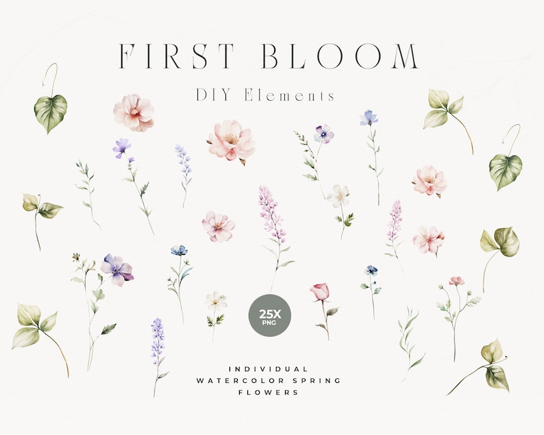 Watercolor Spring Clip Art PNG - Watercolor Spring Wild Flower PNG ...
