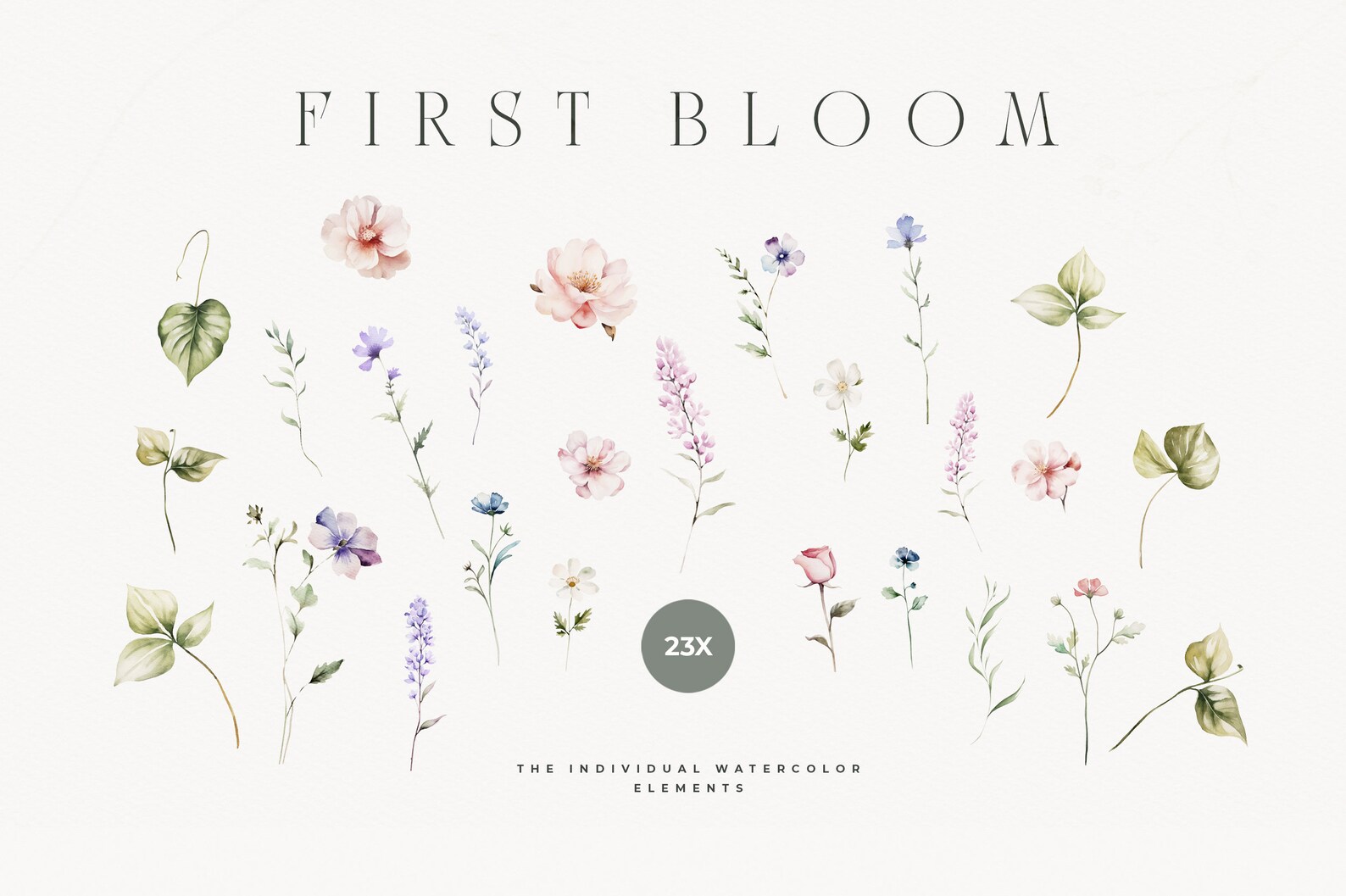 Watercolor Spring Clip Art PNG - Watercolor Spring Wild Flower PNG ...