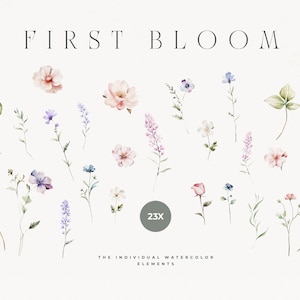 Watercolor Spring Clip Art PNG - Watercolor Spring Wild Flower PNG ...