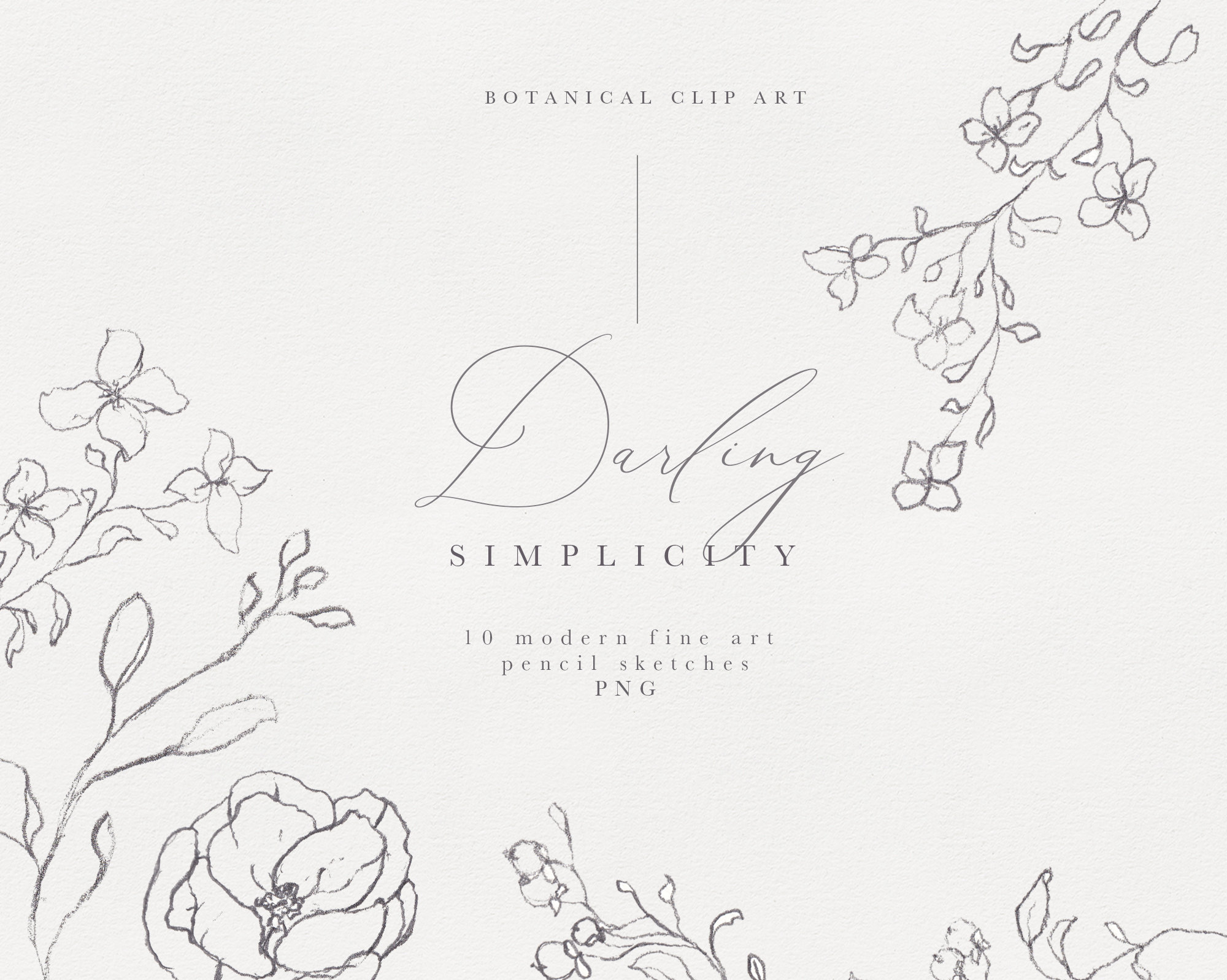 Visual Arts Flower Drawing