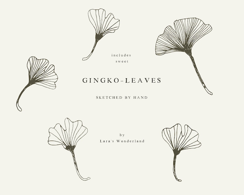 Hand Drawn Rustic Botanical Line Art Sketches Floral Line - Etsy