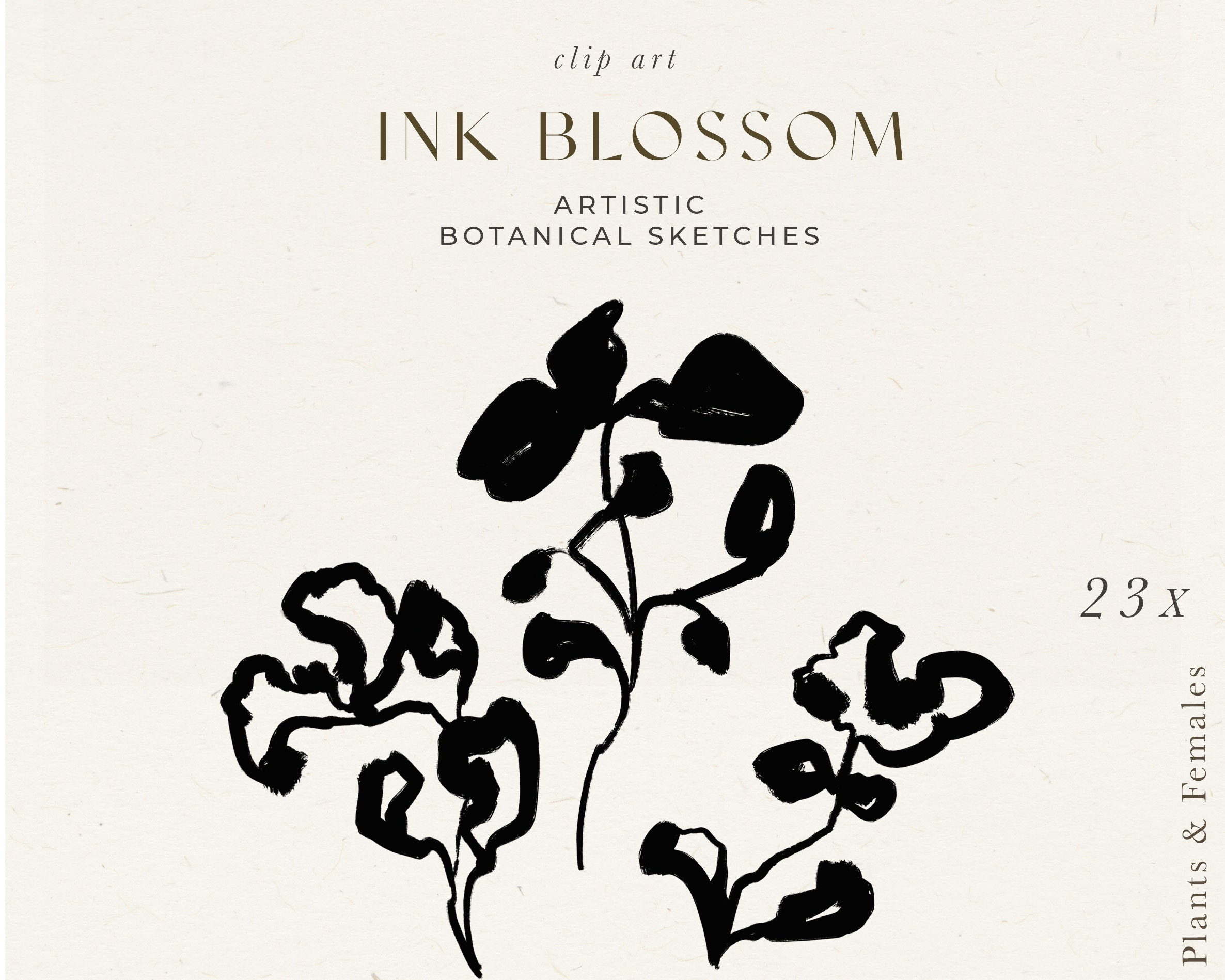 Abstract Flower Line Art, Minimalist Floral Clip Art, Abstract Twigs ...