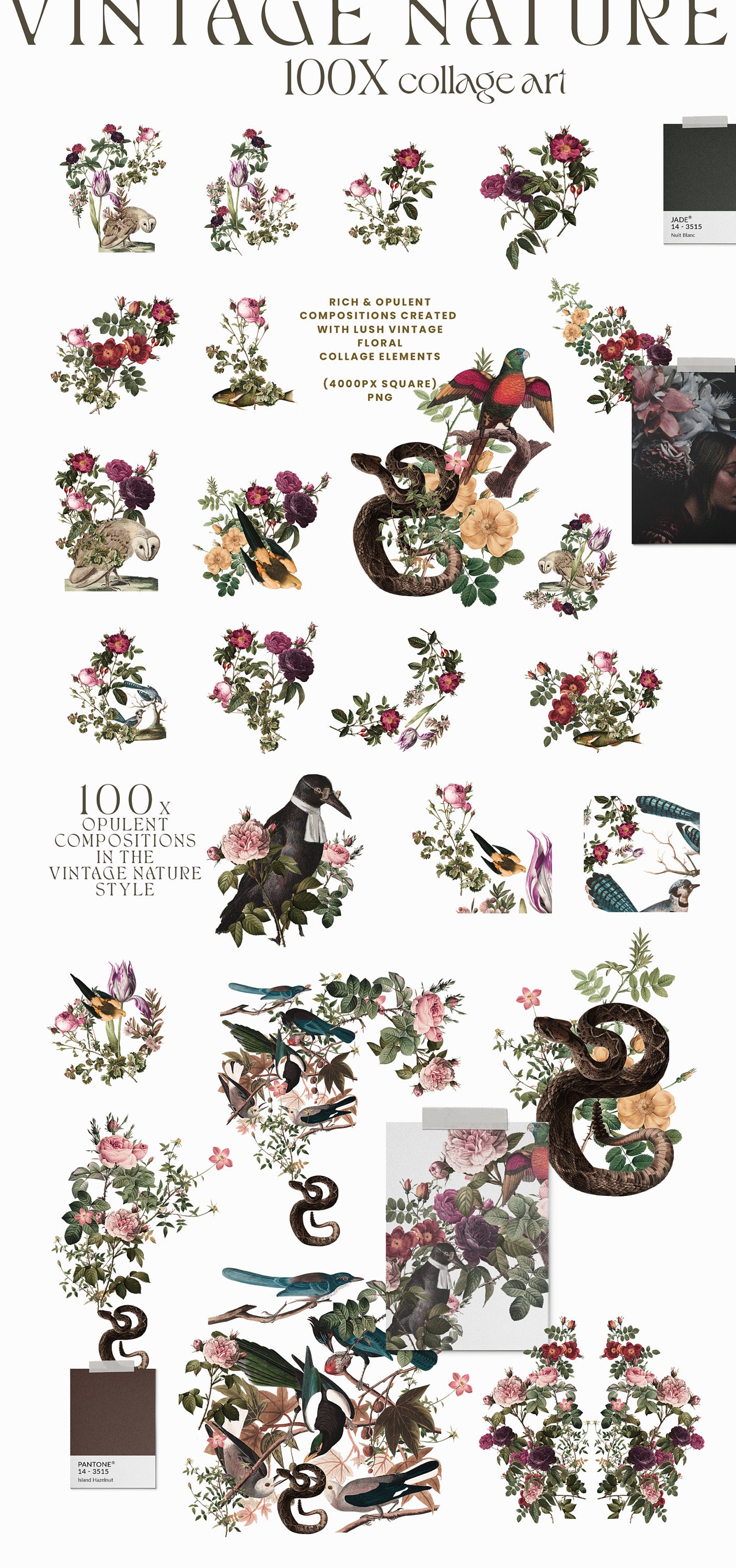 Graphic Design Clip Art Bundle Graphic Design Trend Bundle - Etsy