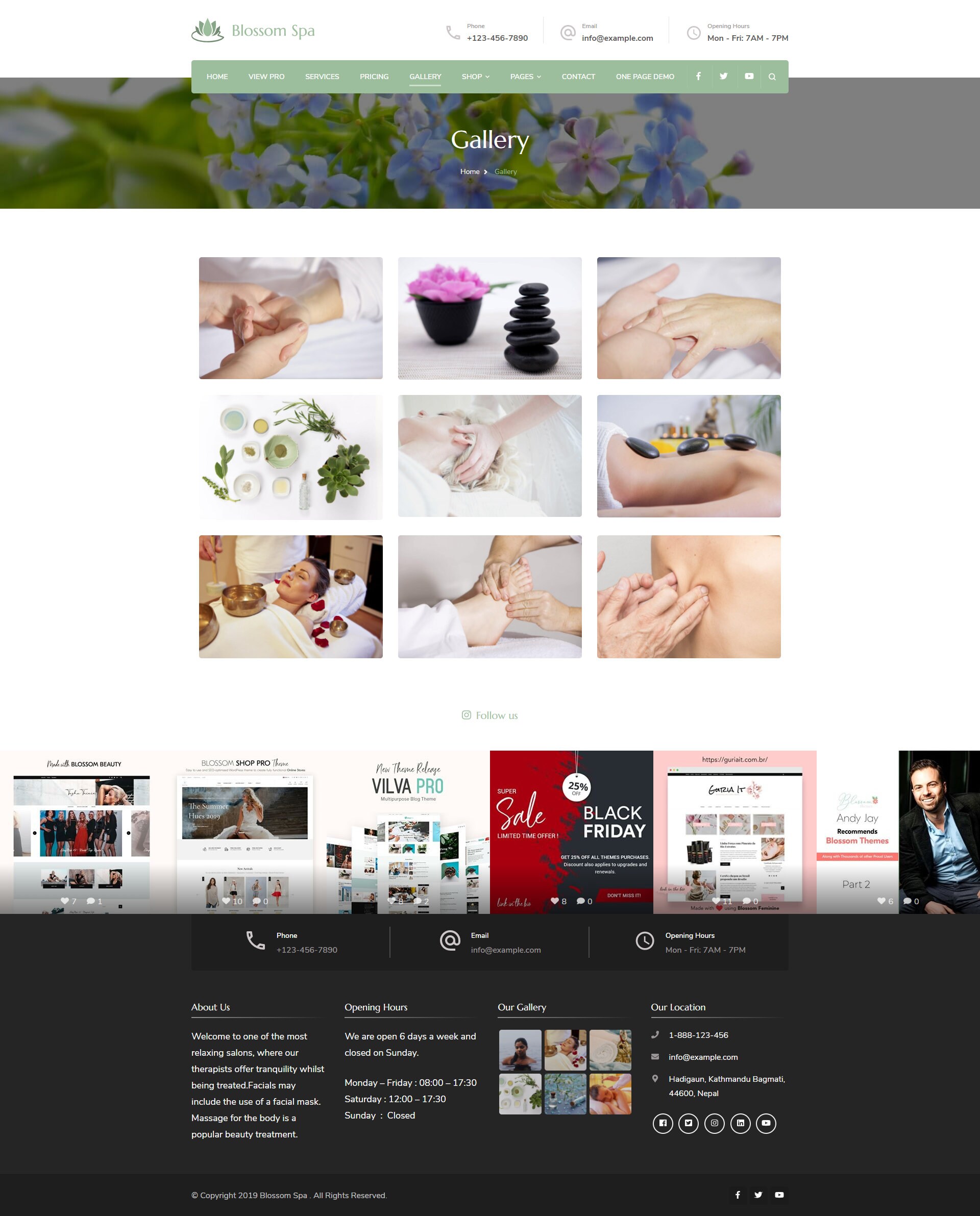 Blossom Spa Pro Wordpress Theme, Feminine, Spa Salon, Beauty, Business, Responsive - Etsy