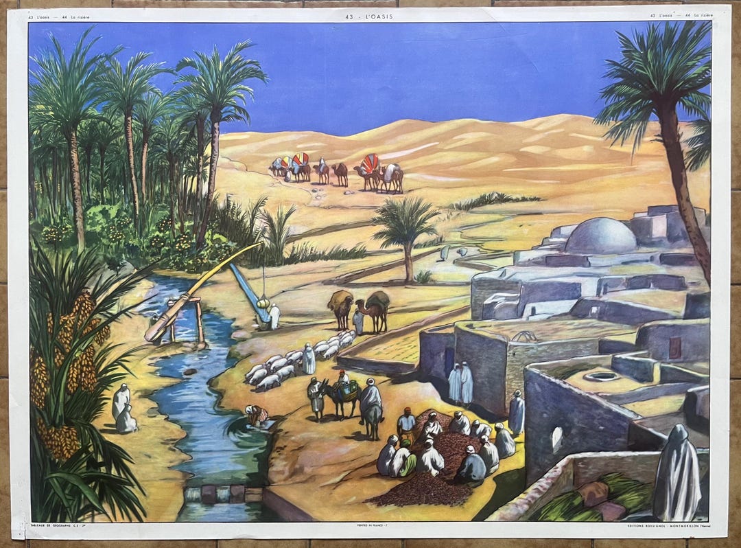 Rice Field, Oasis, Desert / Rice Field, Asia, Africa - Old School ...