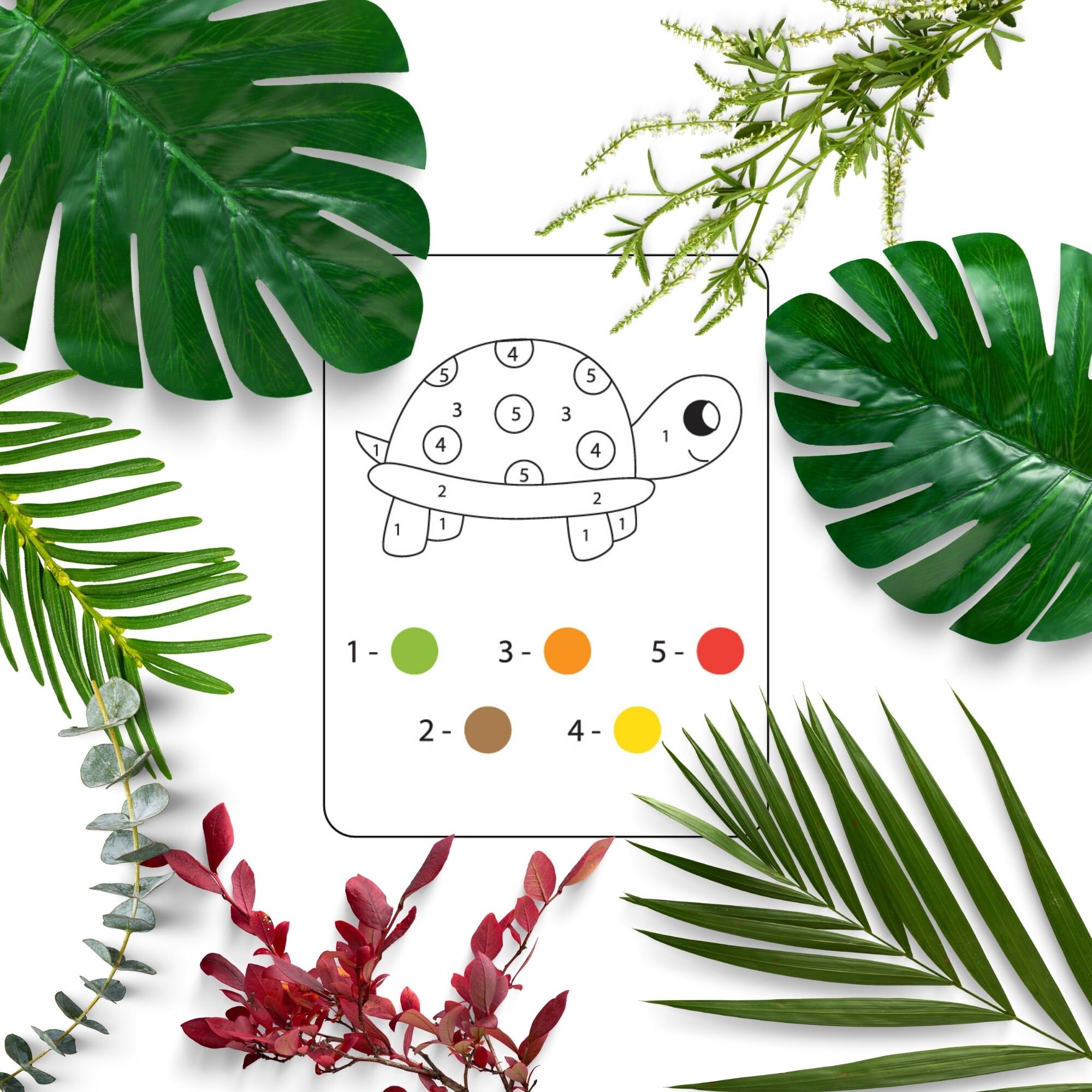 Color by Number Fun: 30 Pages for Young Artists - Etsy