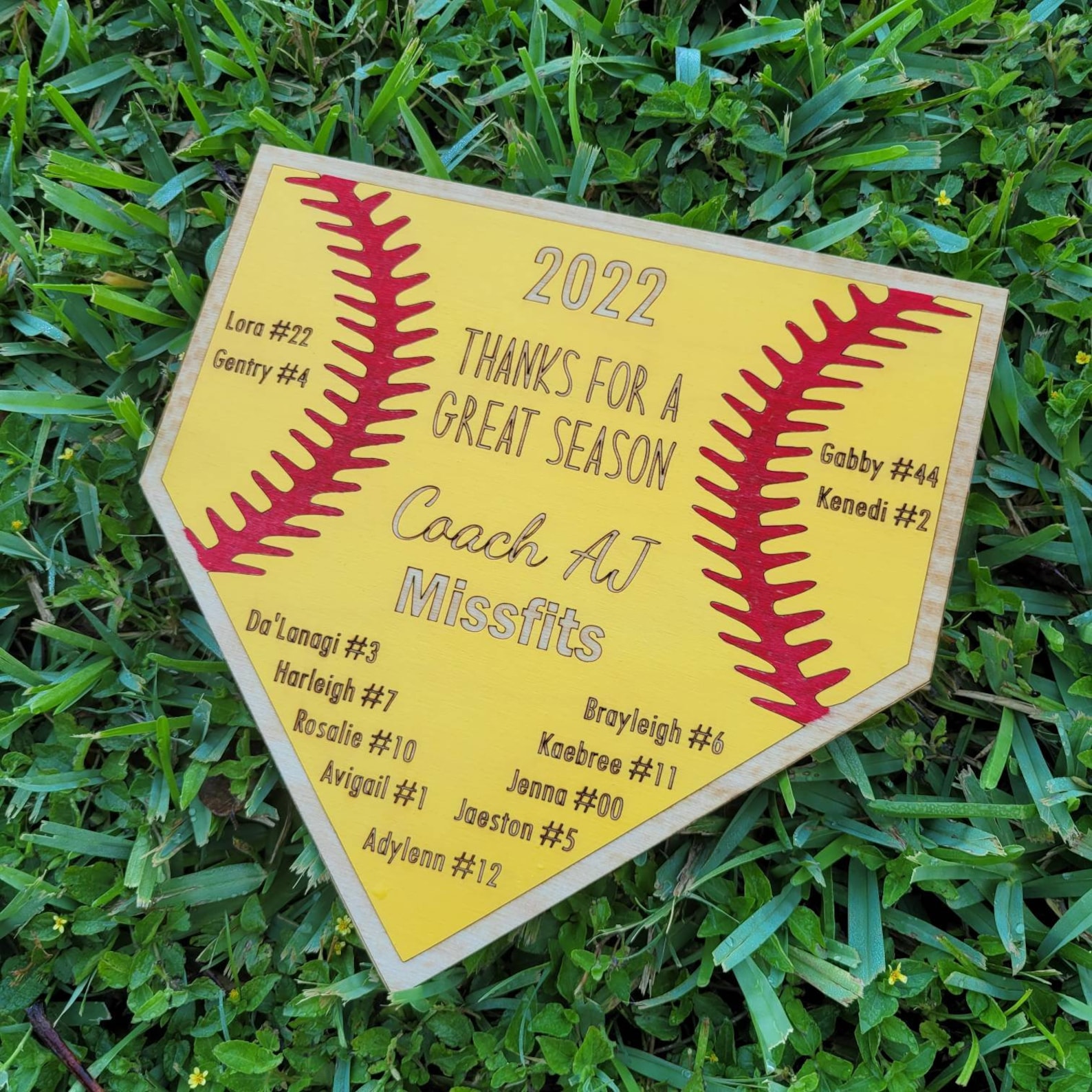 SOFTBALL COACH GIFT Softball Plaque Coach Plaque End of - Etsy