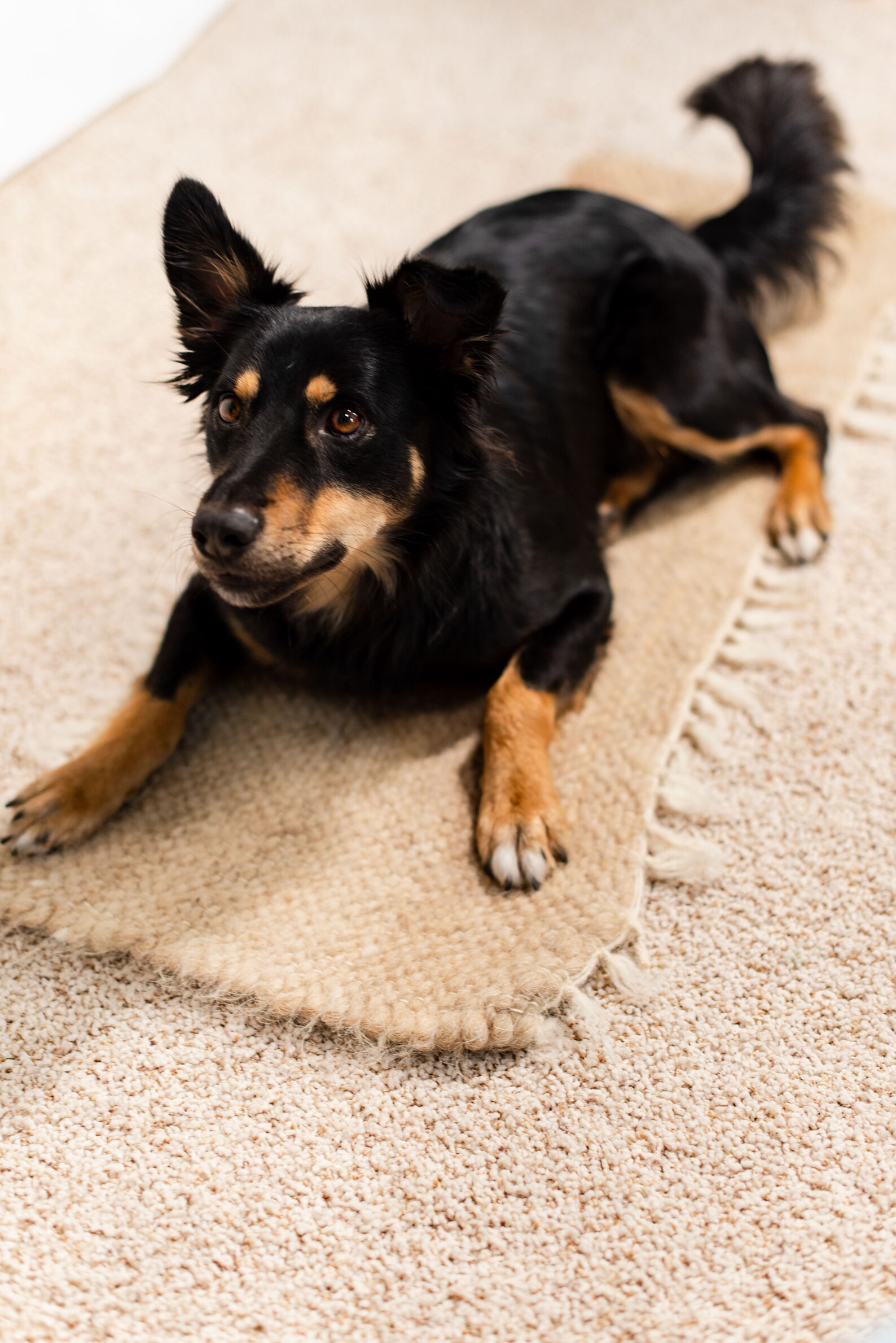 Entryway Welcome Door Mat Small Area Rug Indoor Entry Rug - Etsy