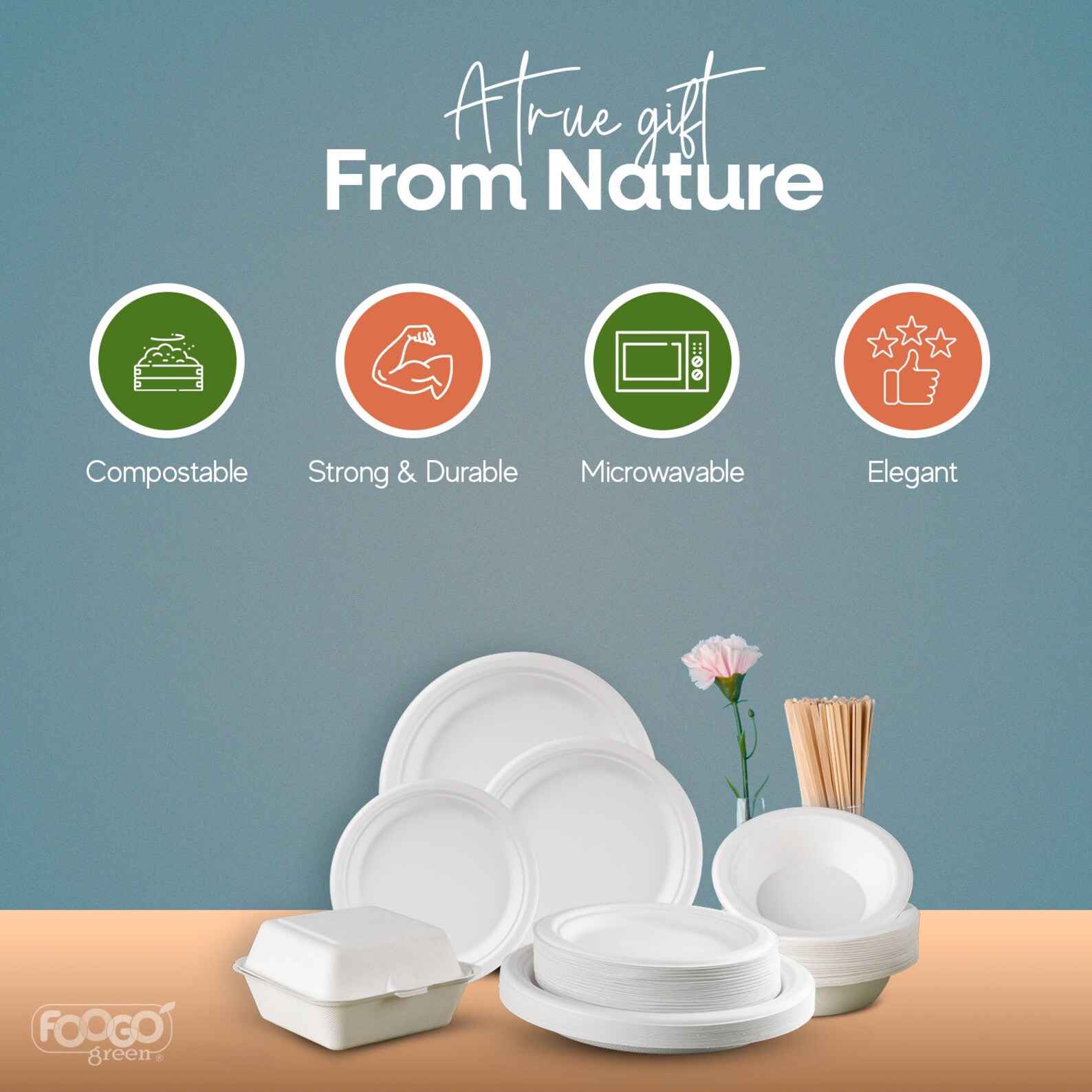 Disposable Sugarcane Bagasse 6 Plates, Eco Friendly, Biodegradable ...