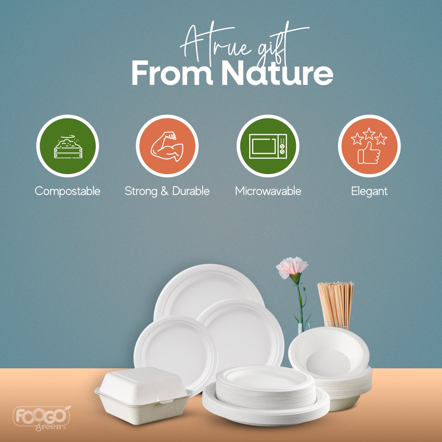 Disposable Sugarcane Bagasse 6" Plates, Eco Friendly, Biodegradable ...