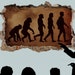 Evolution of Human Educational Wall Sticker Art Poster Mural Transfer ...